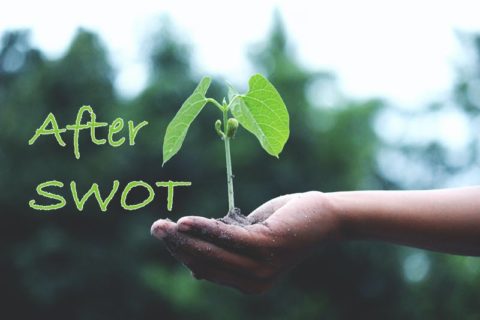 After SWOT Analysis: Developing Actionable Strategies - Win Accounting